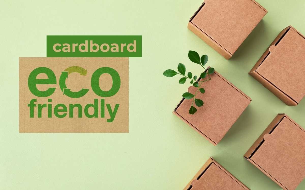 Is Cardboard Biodegradable? Unpacking the Facts - 2024 | GME