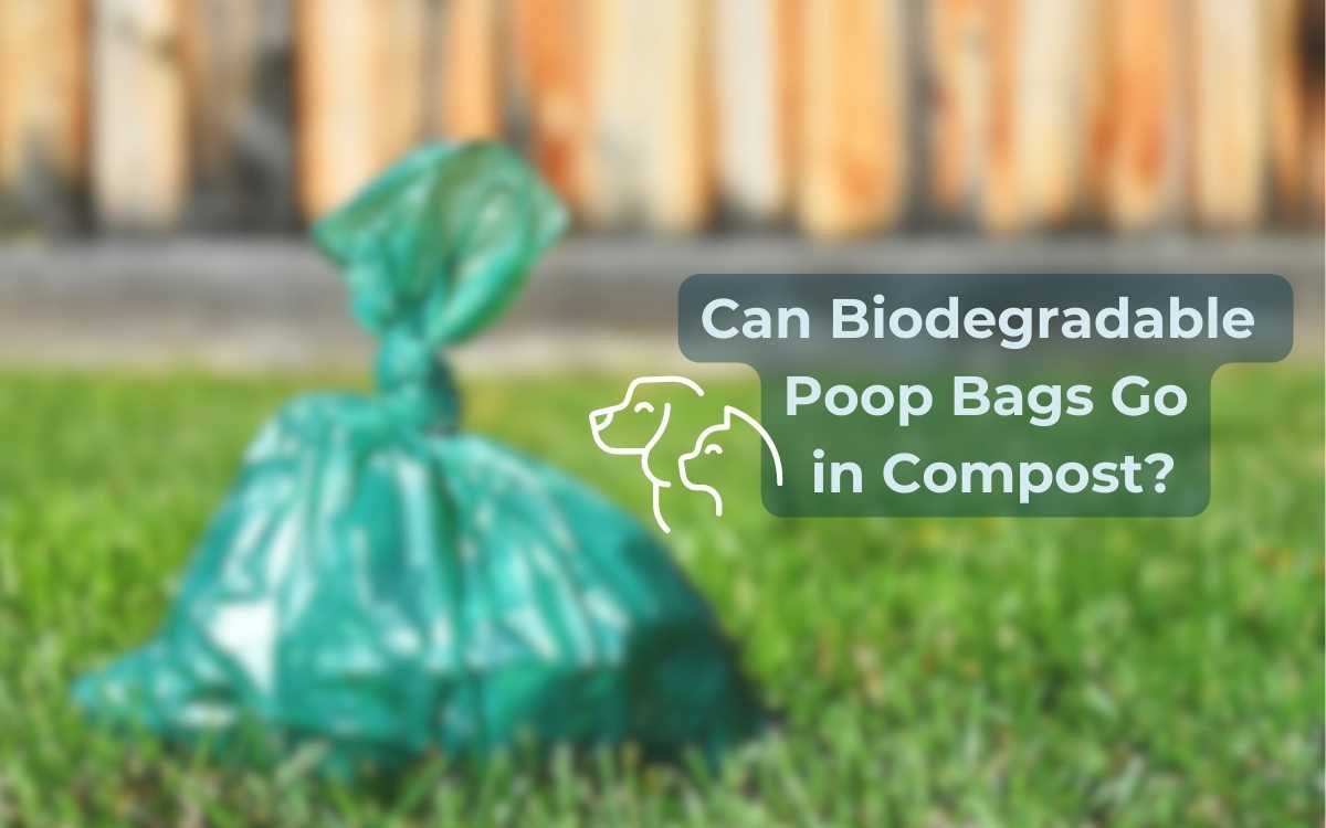Biodegradable Garbage Bags: Eco-Friendly Waste Solutions | GME