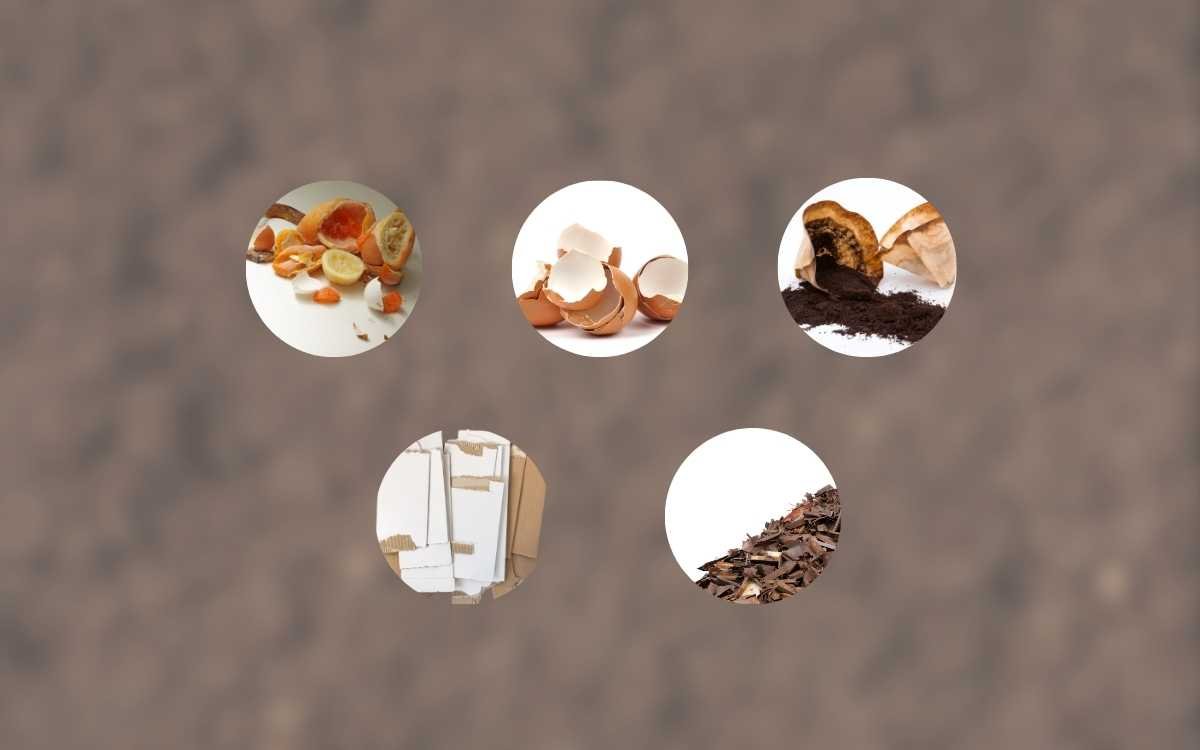 What is Compostable Waste? Benefits and Tips | GME