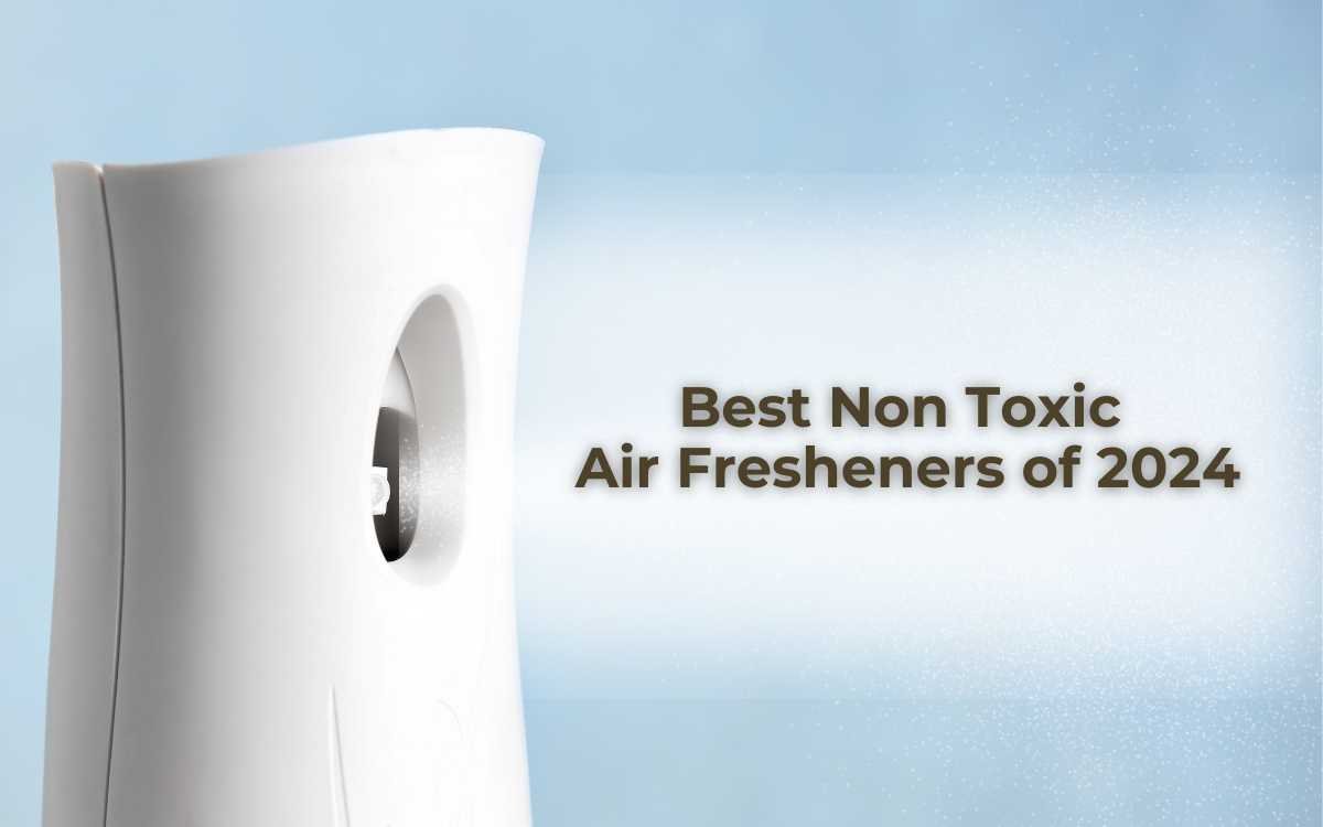 5 Unseen Non Toxic Air Freshener - 2024 | GME