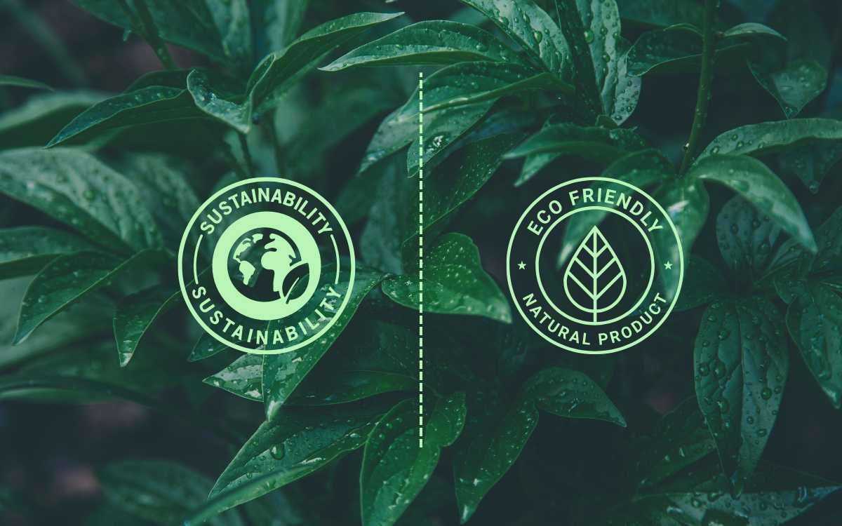 Sustainable Vs Eco Friendly Key Differences Explained 2024